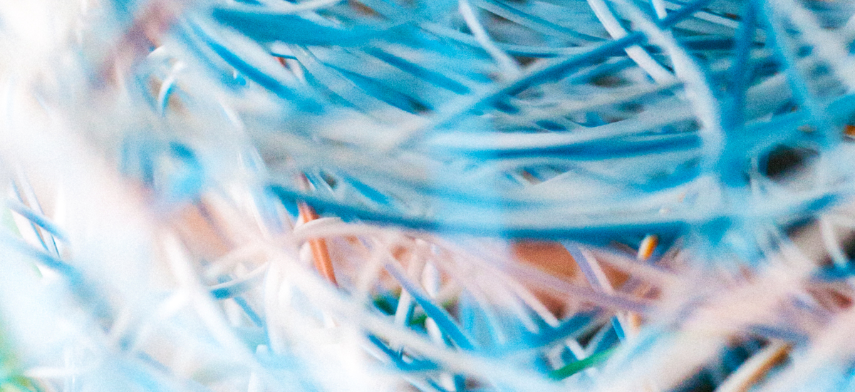 Haptic Design Meetup vol.8 Haptic ×（Material）Design | HAPTIC DESIGN